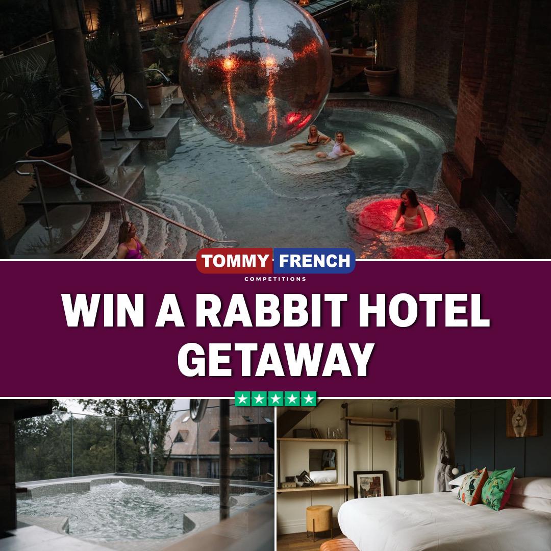 Rabbit Hotel Getaway - Rabbit Hotel Getaway